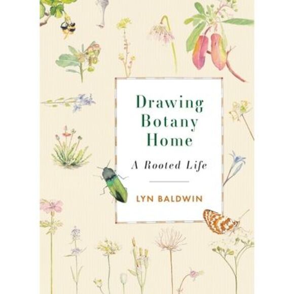 Lyn Baldwin | Other | Drawing Botany Home A Rooted Life Lyn Baldwin ...